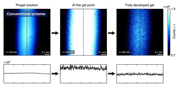 Polymer-based Gel Networks Hold Promise to Be Used in Various ...