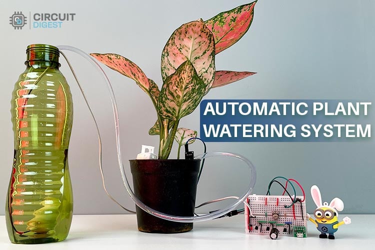 Plant Watering Automation using BC547 | Breadboard | Maker Pro