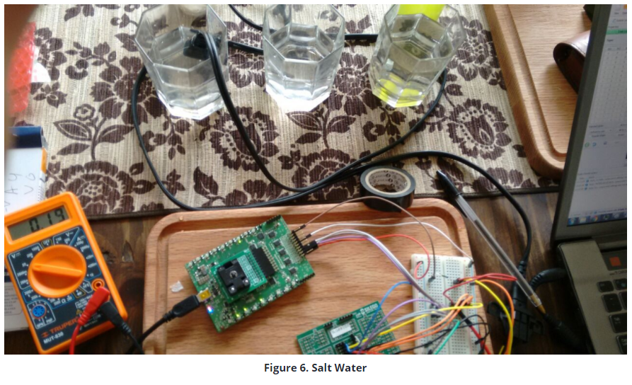 DIY Salinity Sensor | Custom | Maker Pro