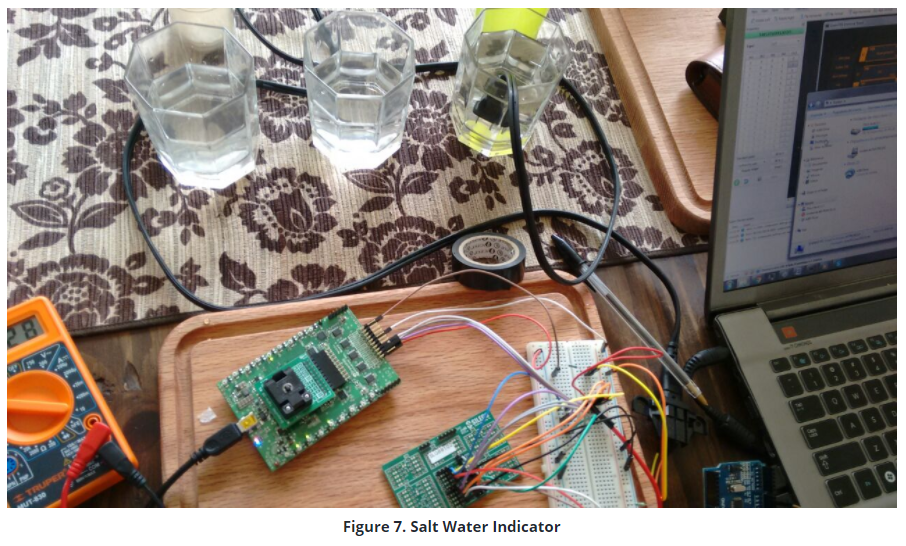 DIY Salinity Sensor | Custom | Maker Pro